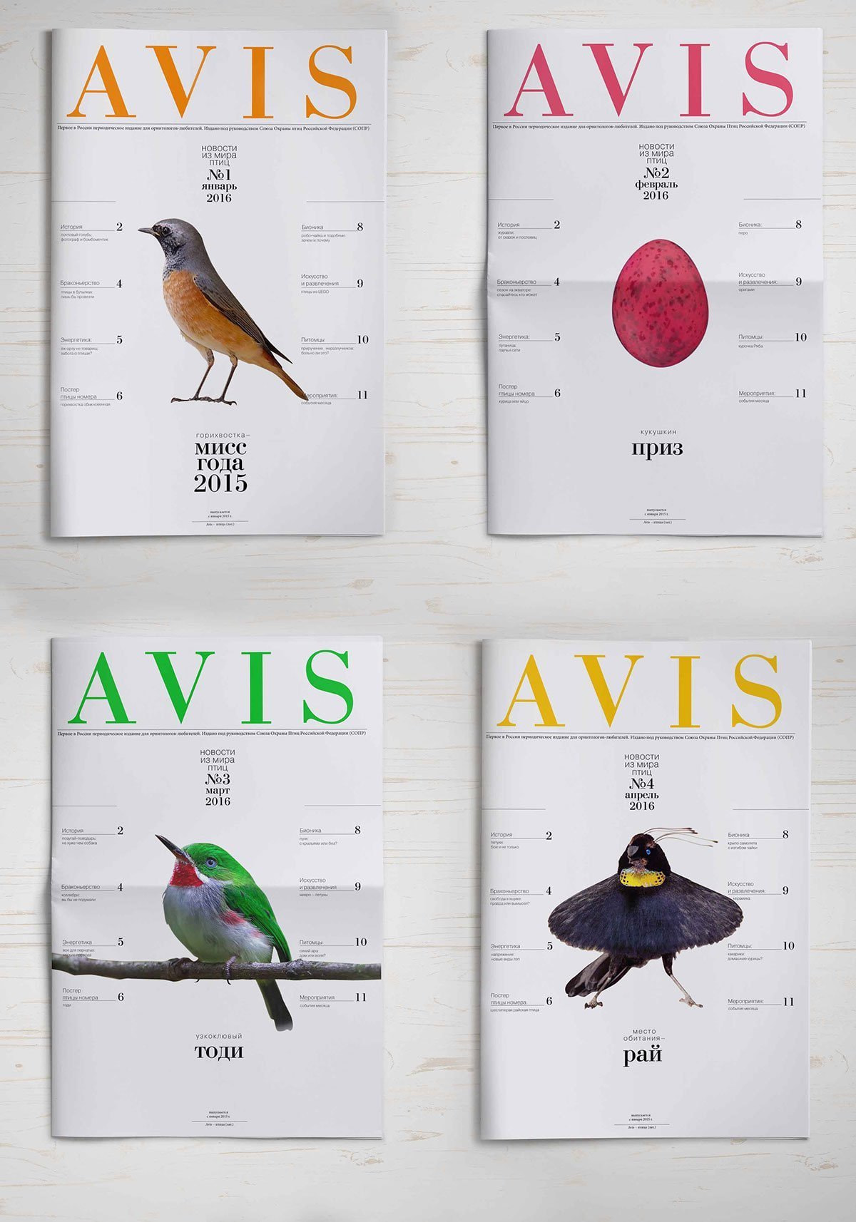 50 incredible editorial designs from around the world