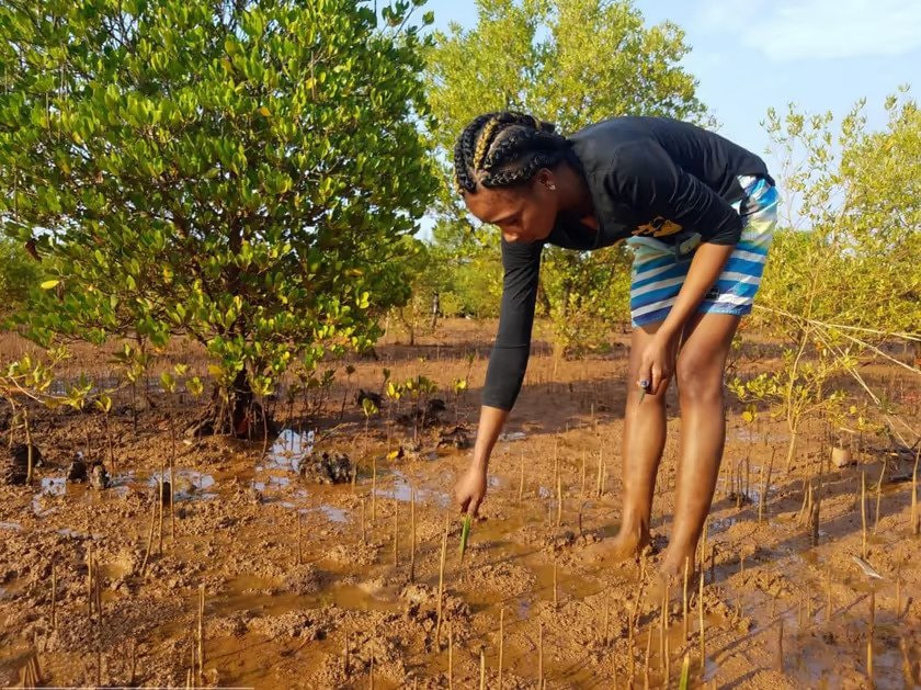 An Update On Our One Print, One Tree Program