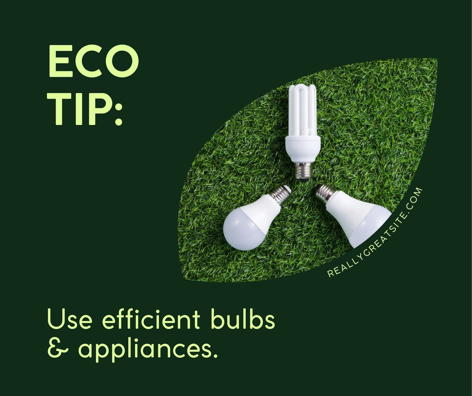 Canva’s sustainability practices and goals