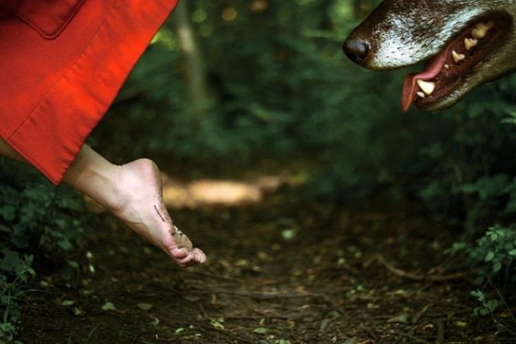 Once upon a time: Spellbinding photos that breathe life into fairy tales