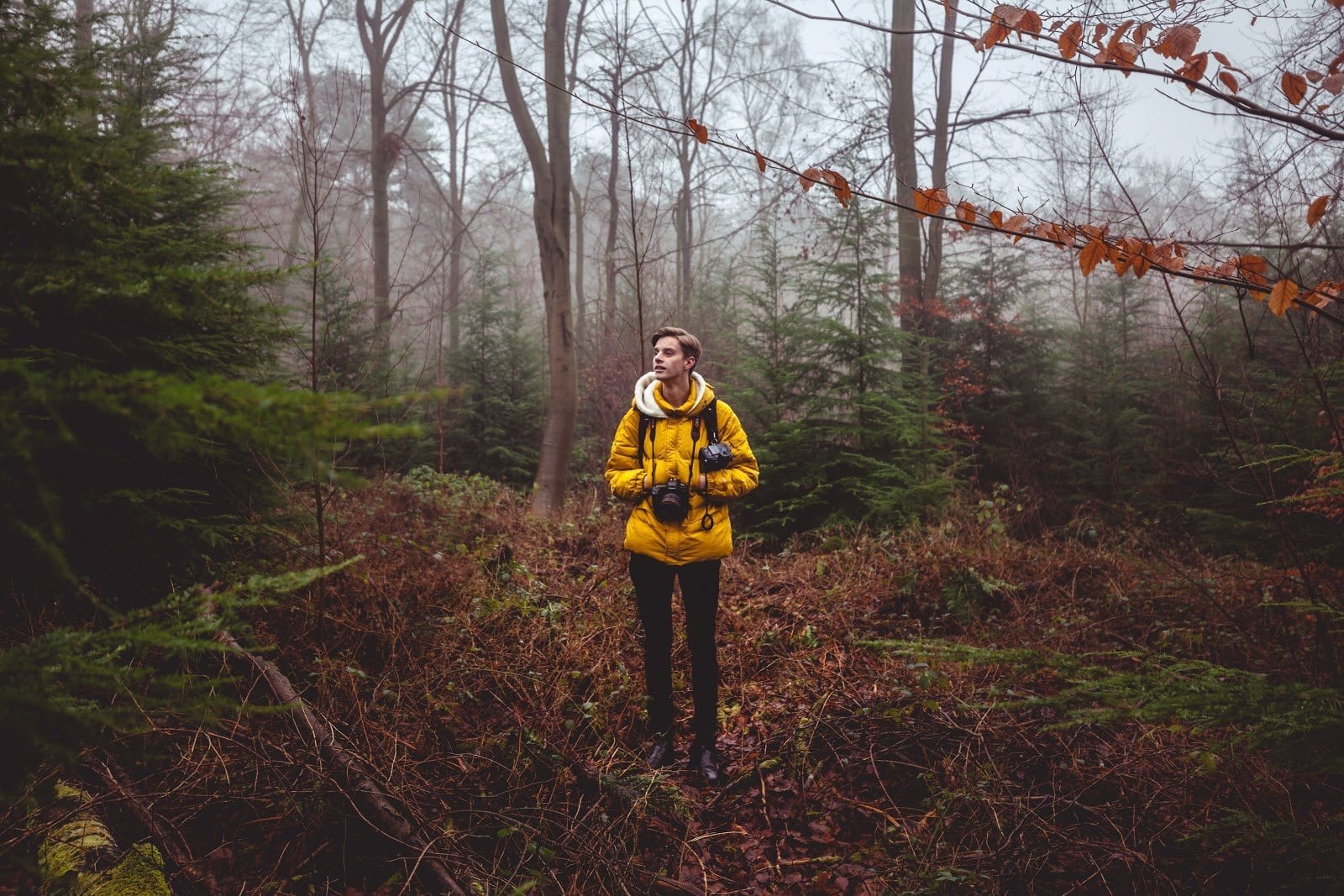 Photography as therapy: Why taking photos can actually improve your ...