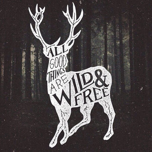 100 stunning picture quotes to supercharge your creativity