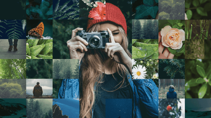 Best website layout ideas and examples