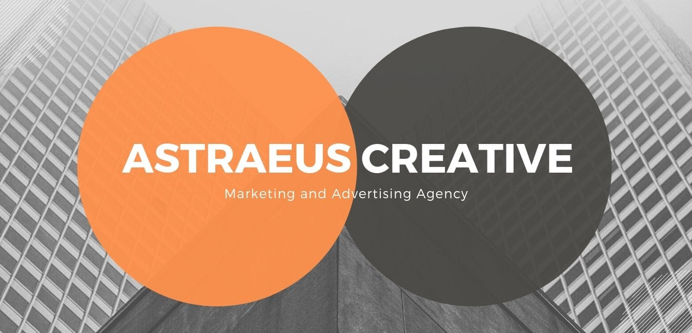 Best website layout ideas and examples