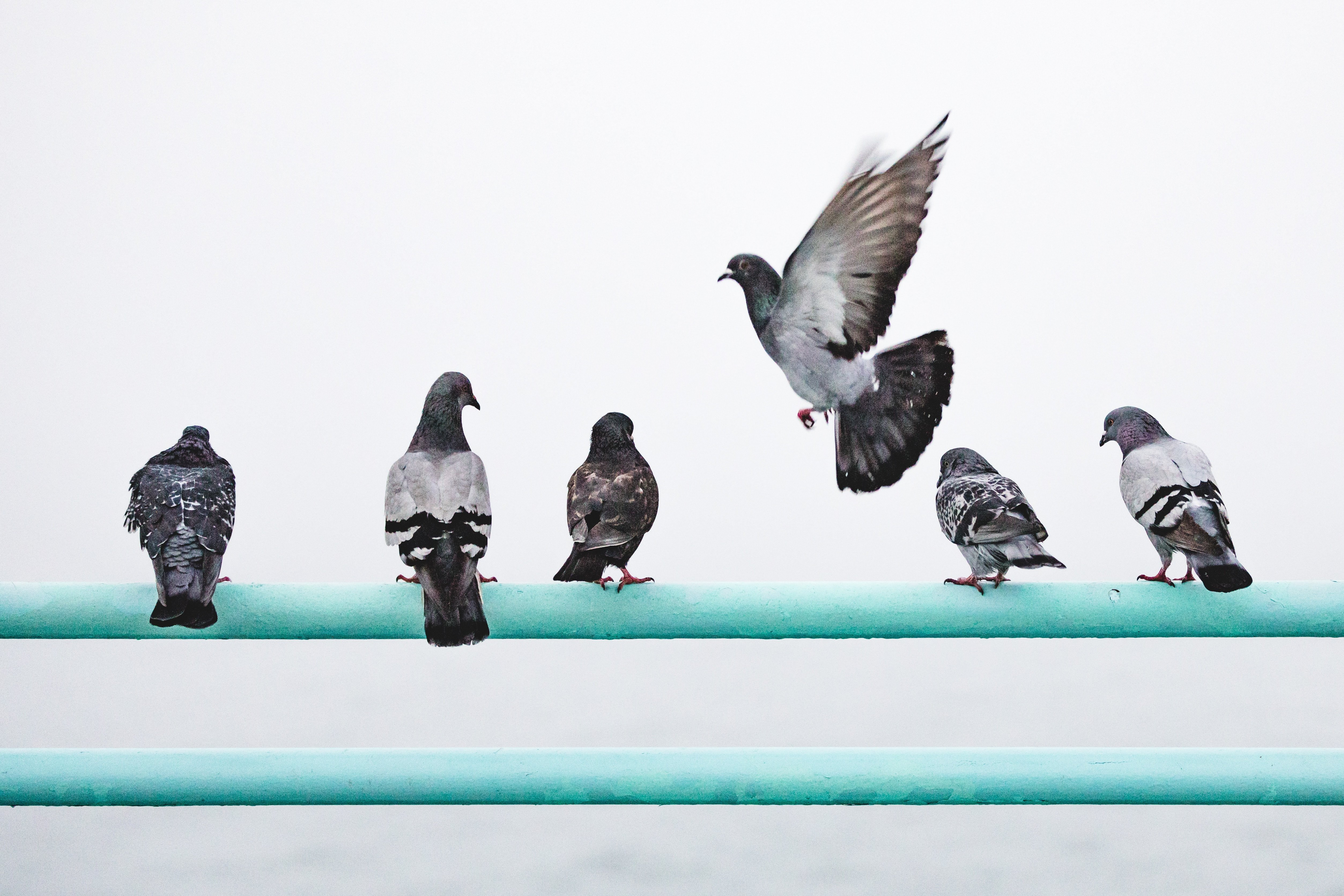Stay sharp: 15 foolproof tips to avoid blurry photos