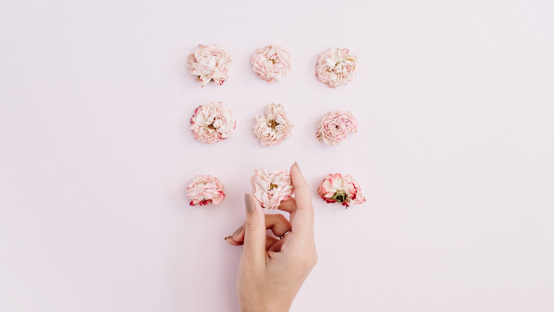 33 women doing amazing things in graphic design