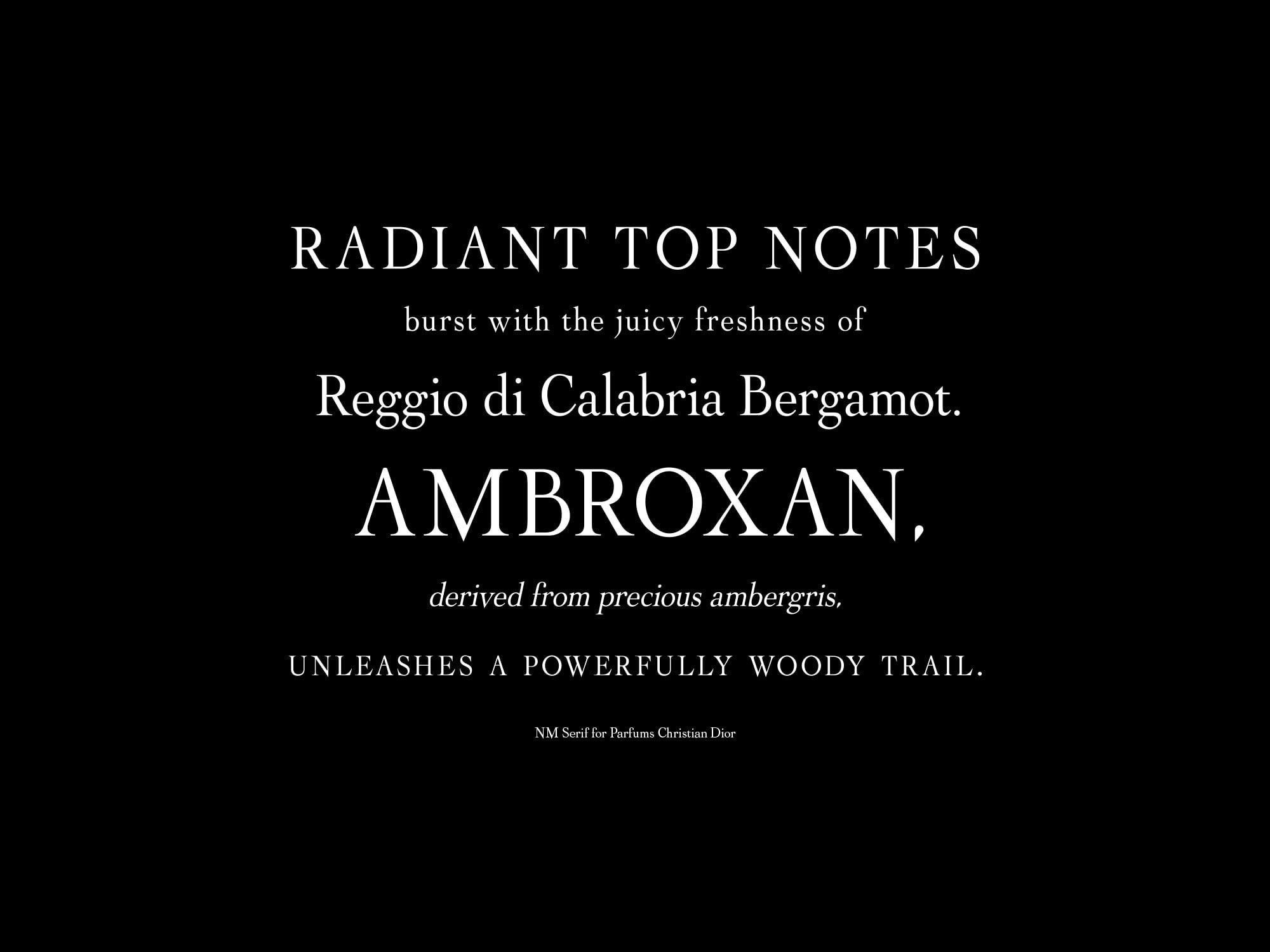 15 type designers to watch out for in 2016