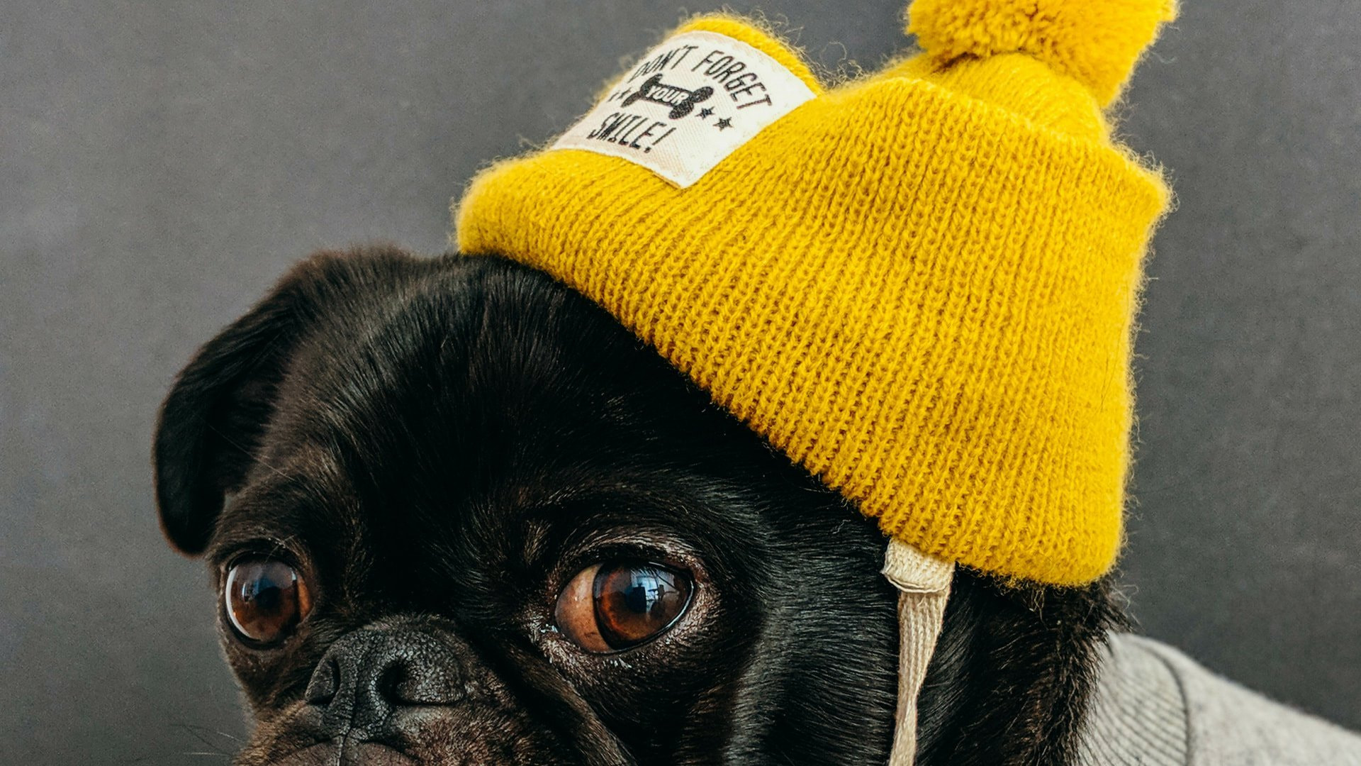 World's Funniest Commercials 101 Of The World's Funniest One Liners