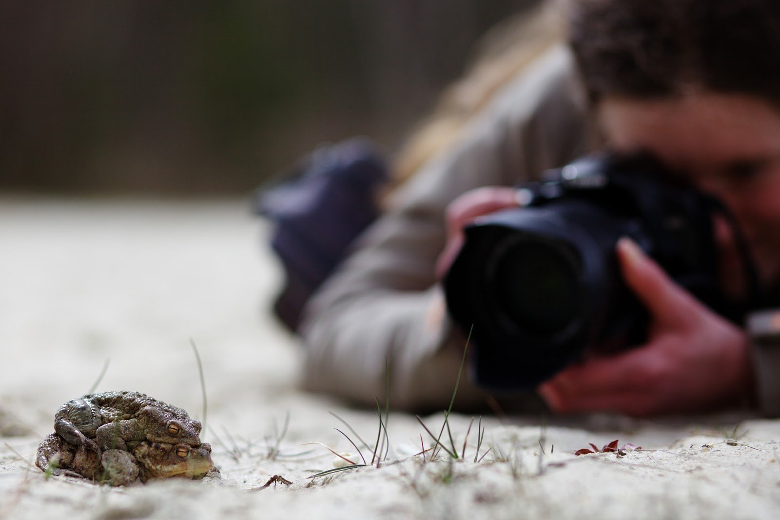 Hunting with a camera: 12 tips to take your wildlife photography to the ...