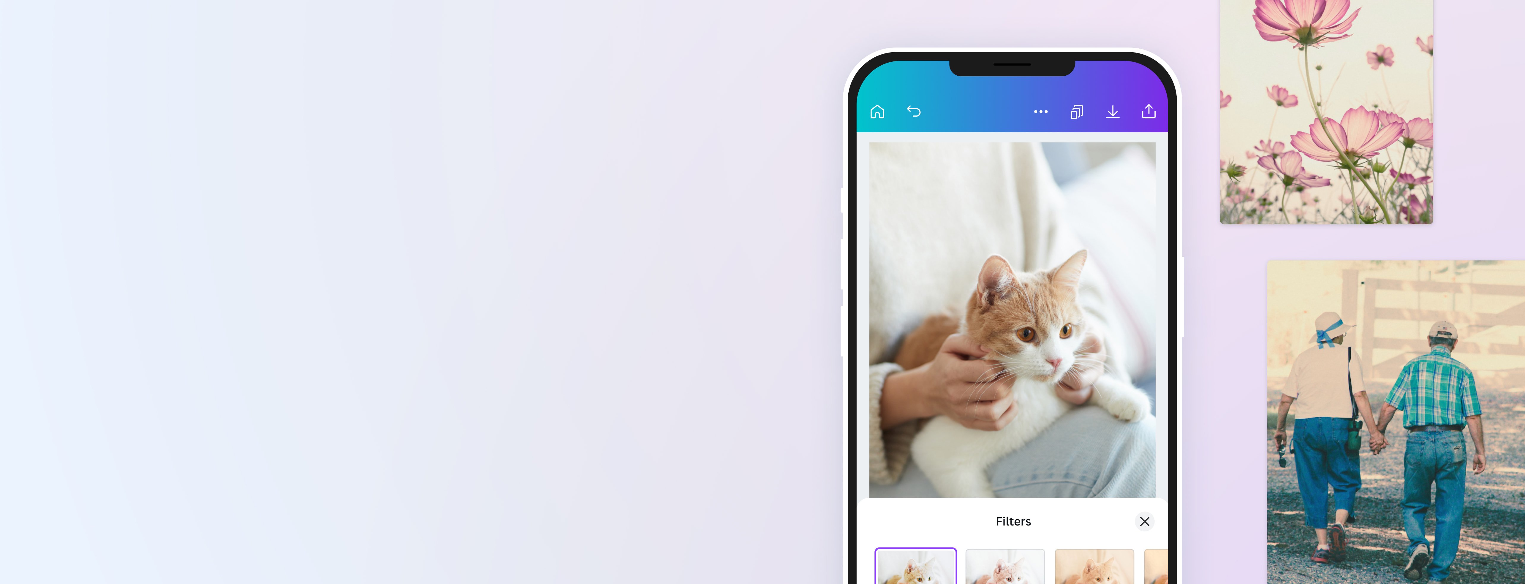 Añade un filtro vintage a tus fotos gratis y online con Canva