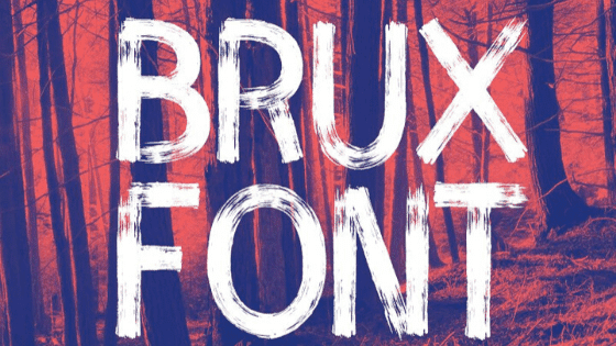 25 Fontes para Logo Gratuitas para Baixar