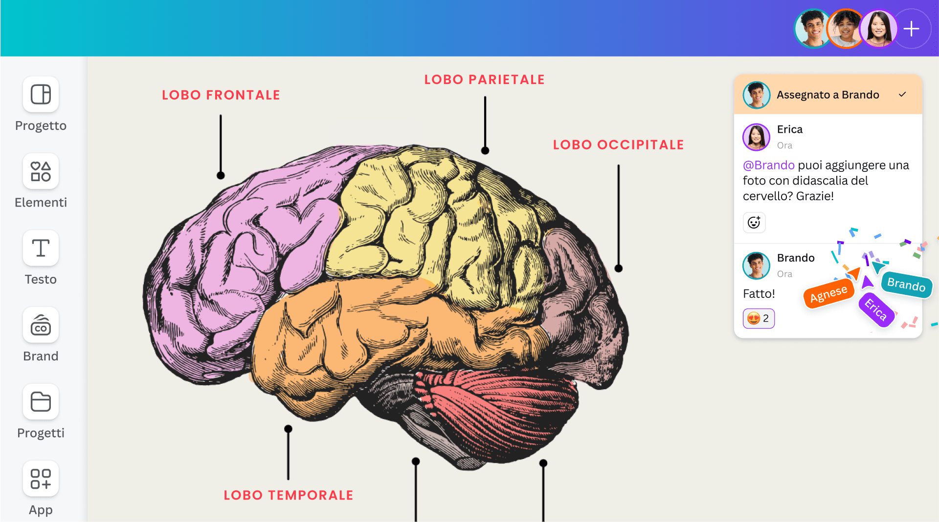 Strumento gratuito di progettazione e presentazione per studenti | Canva