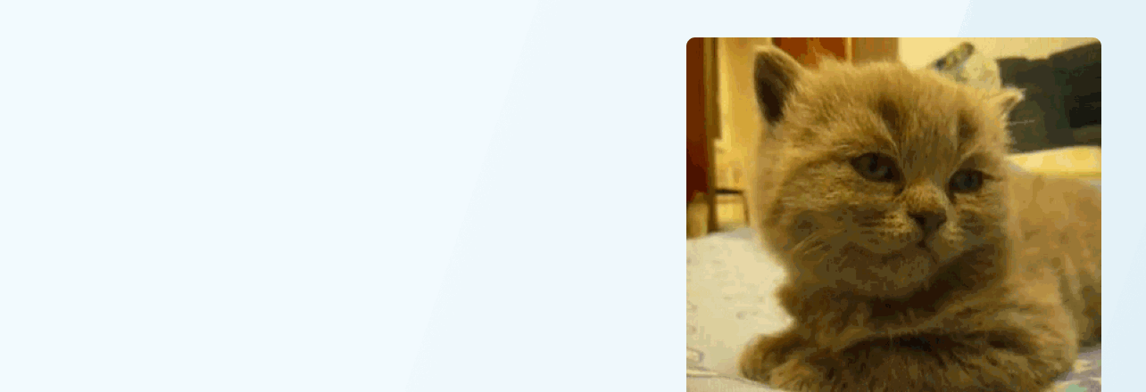 Gratis GIF's: Gratis GIF downloaden | Canva