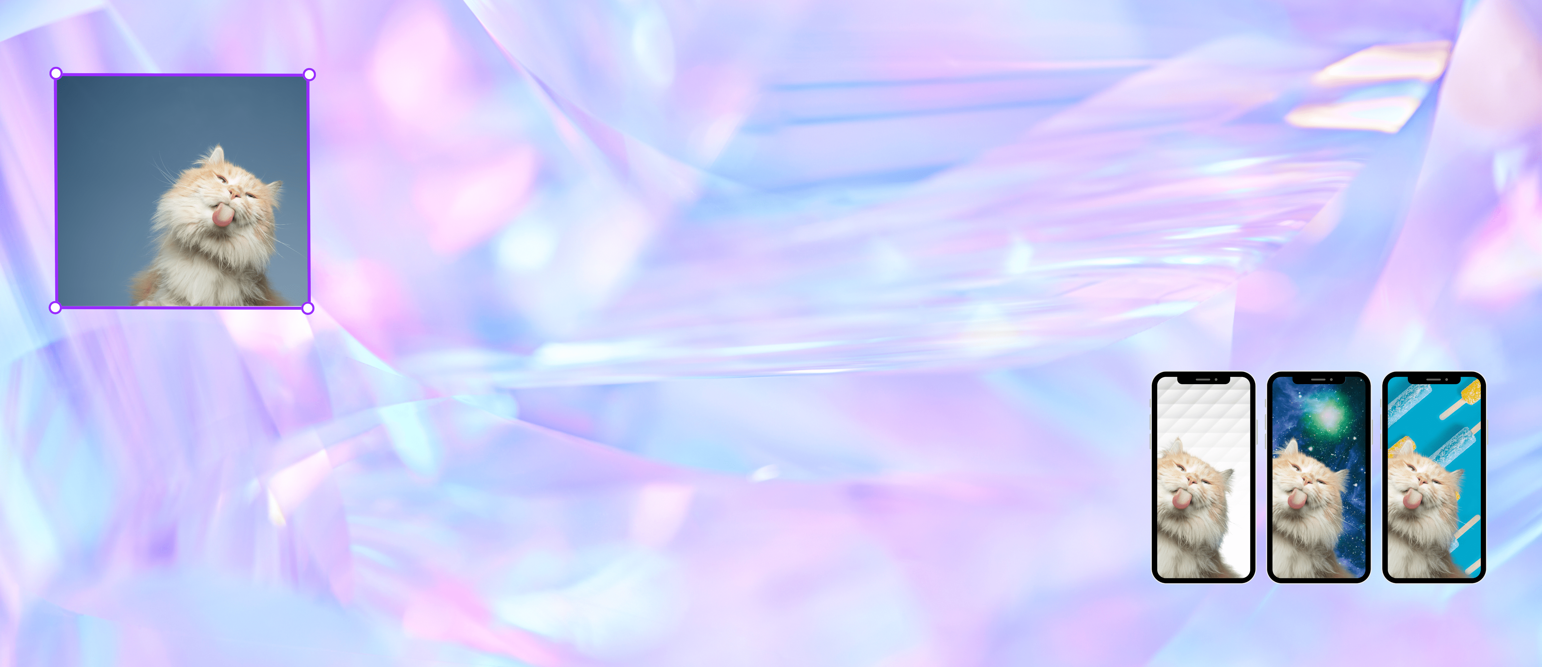 AI Hapus Background Online | Canva