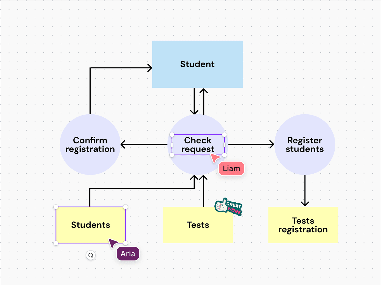 Floem Diagram