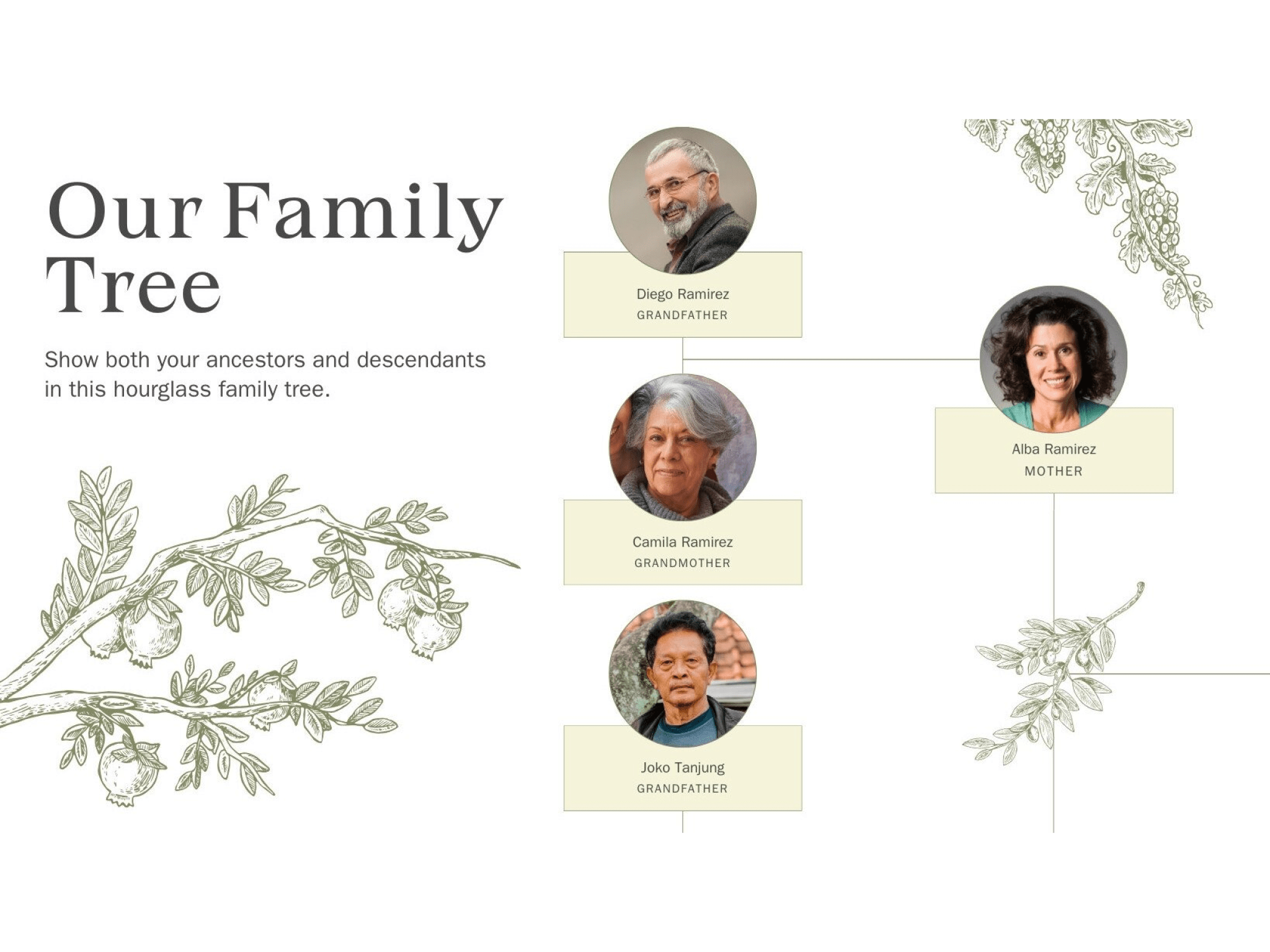 Factor Tree Templates