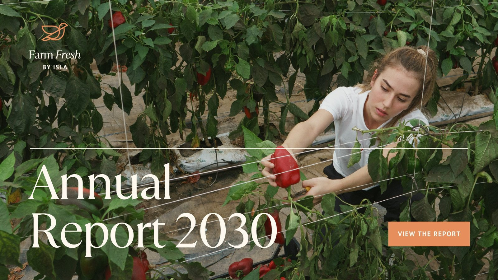 Create designs for the SDGs that lead to change