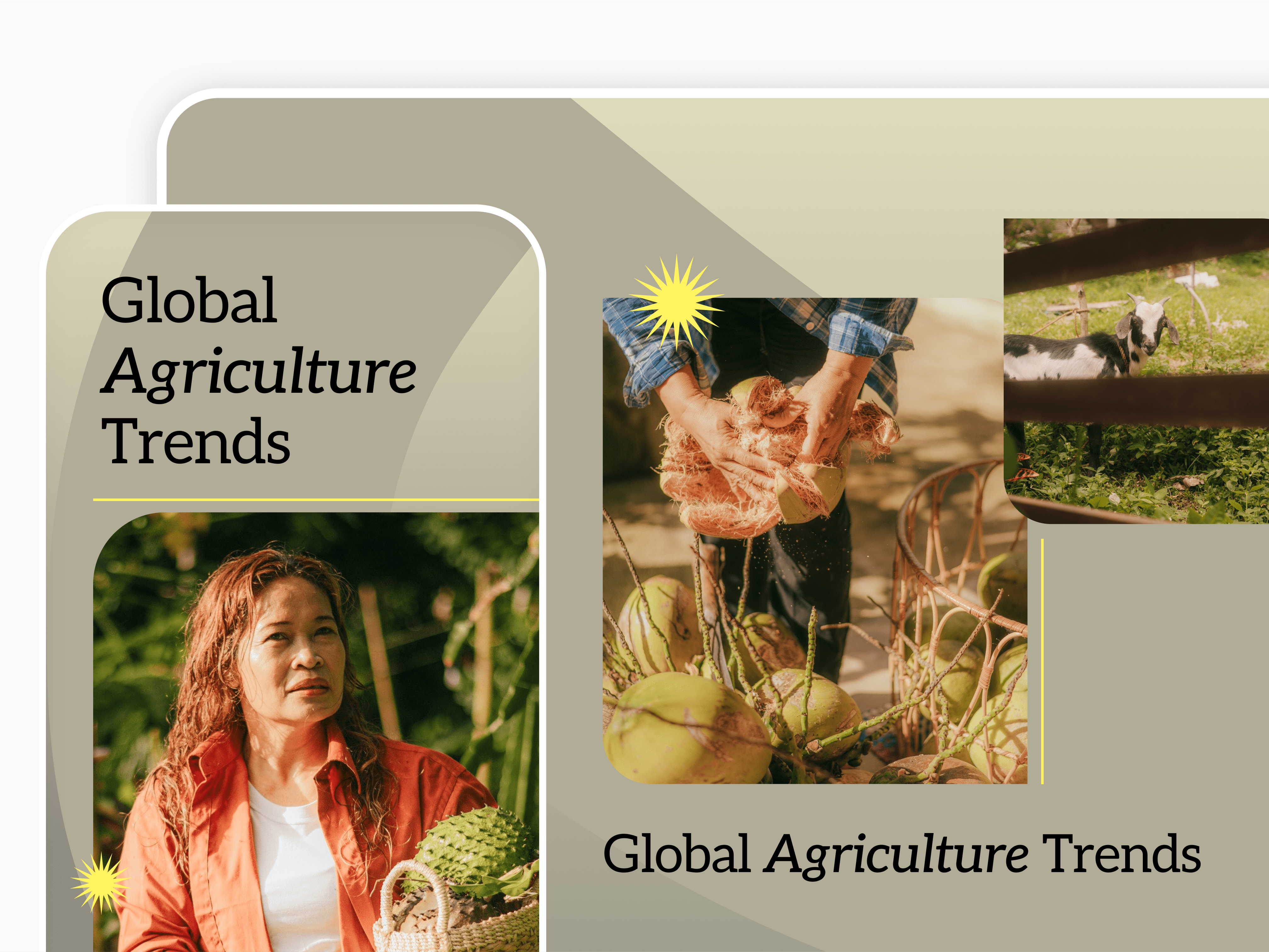 Multimedia presentation: How-to, Templates & Examples | Canva