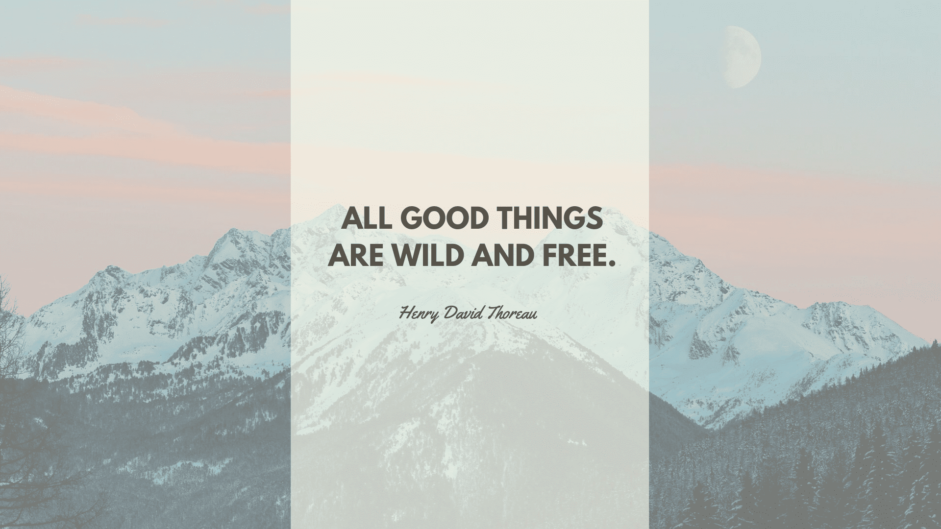 50 beautiful free desktop wallpapers for download