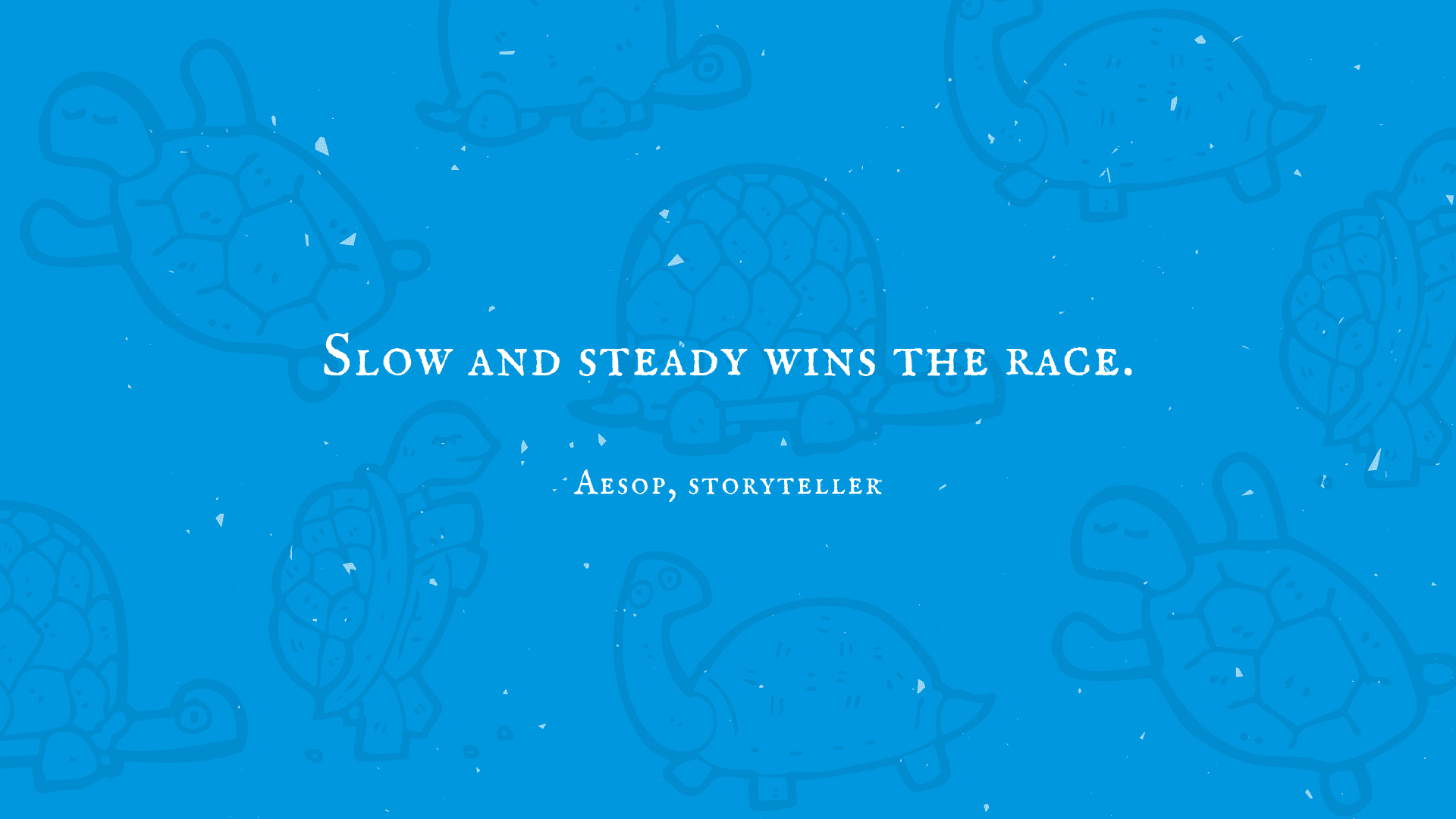 Funny Desktop Wallpaper For My Turtle Crab Mediterranean Sea Sand