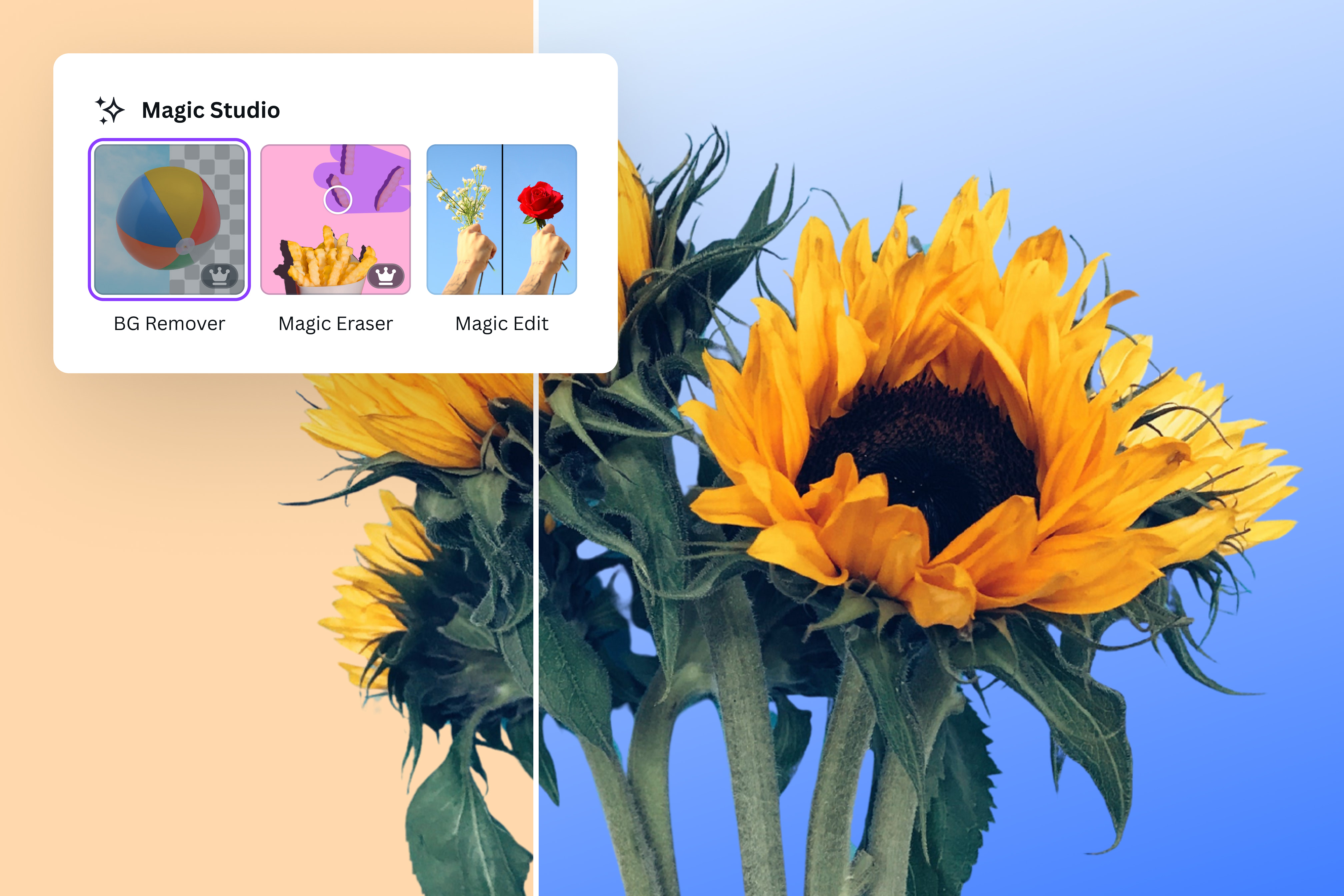 Sketsa Gambar AI: Ubah sketsa menjadi gambar dengan AI | Canva