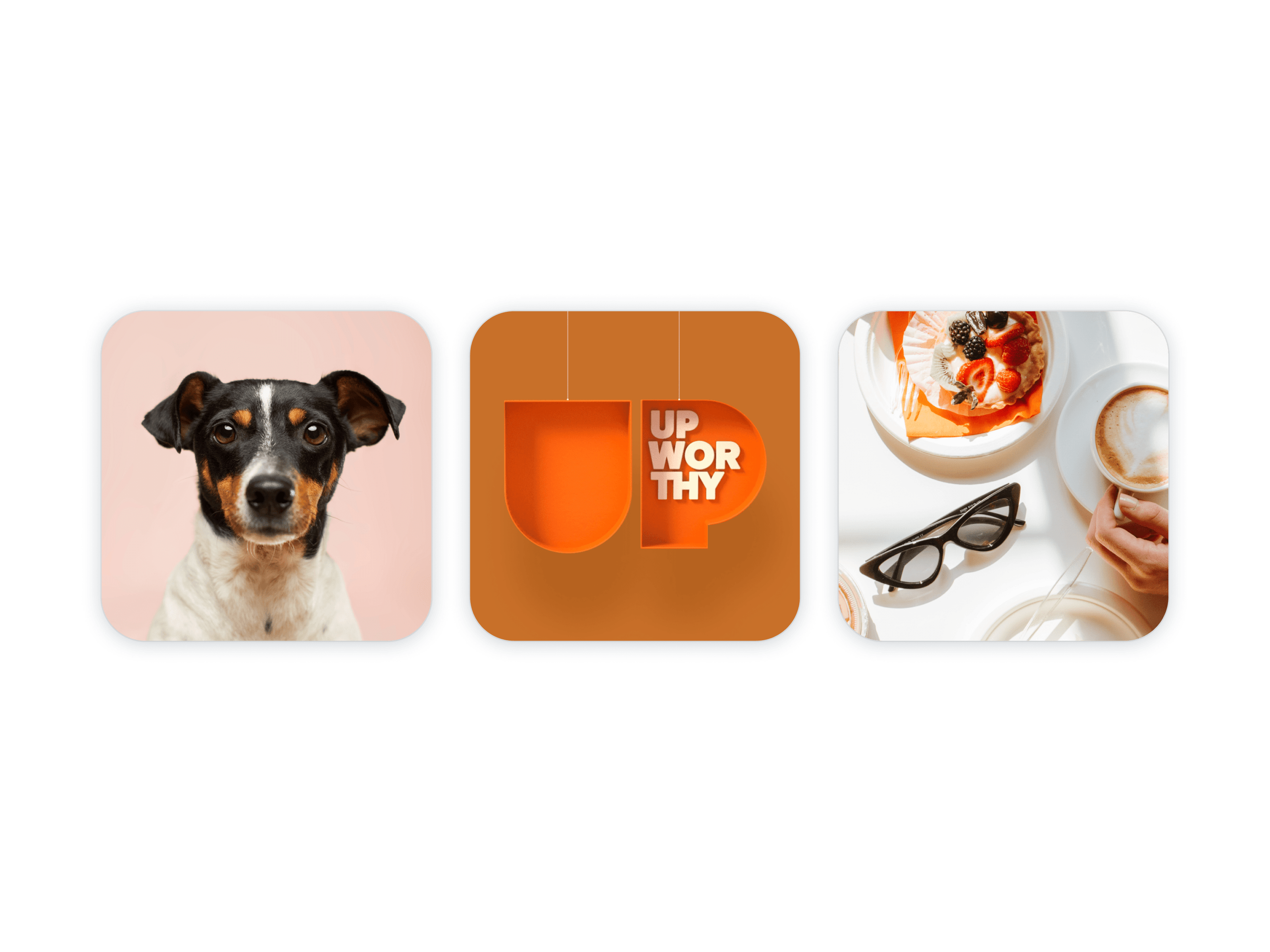 Cómo escribir un estudio de caso (plantillas y consejos) | Canva