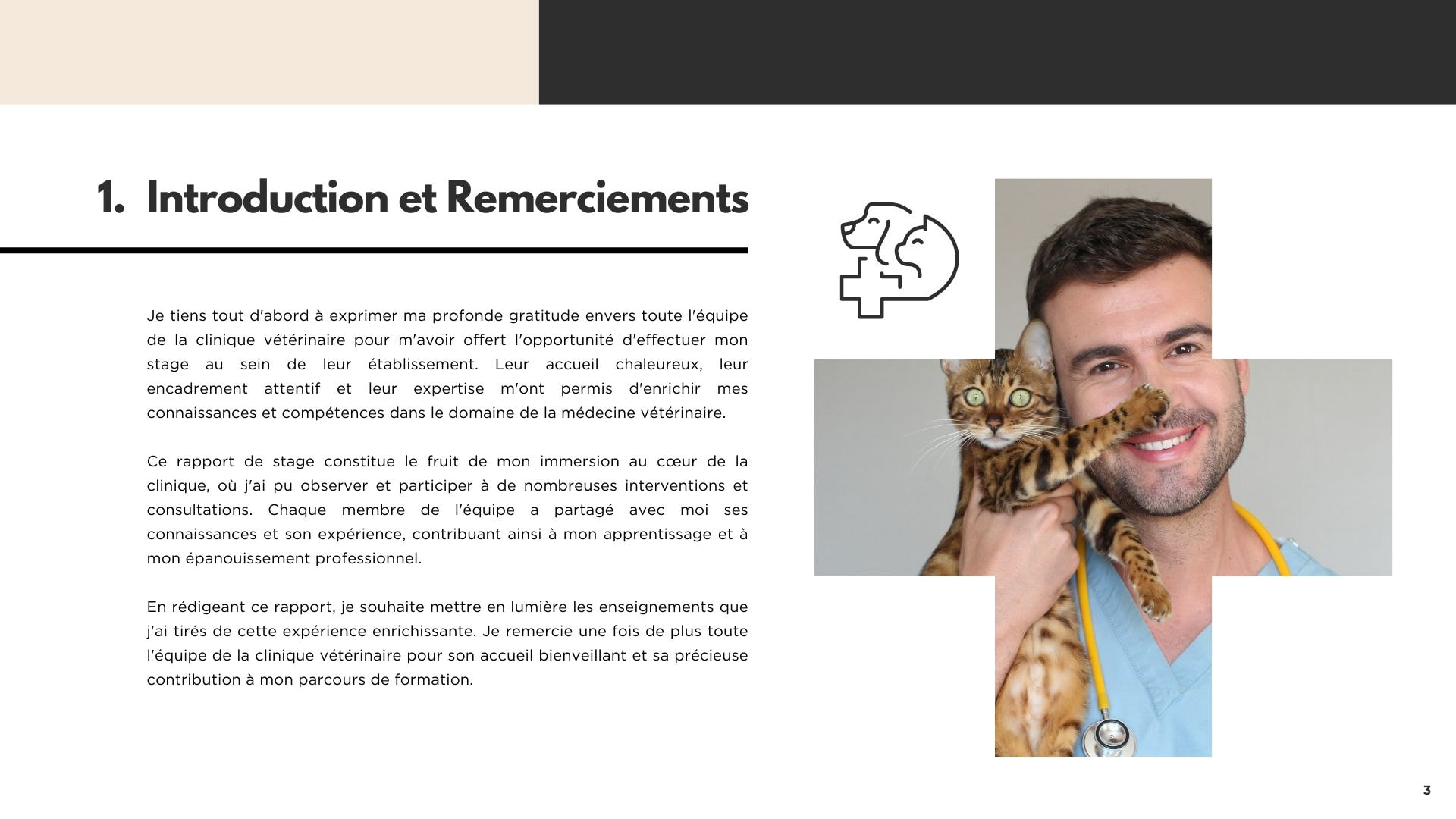 Rapport de stage : 10 exemples gratuits pour vous lancer | Canva
