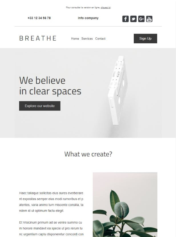 Le Top 50 des templates de newsletter design gratuits - Canva