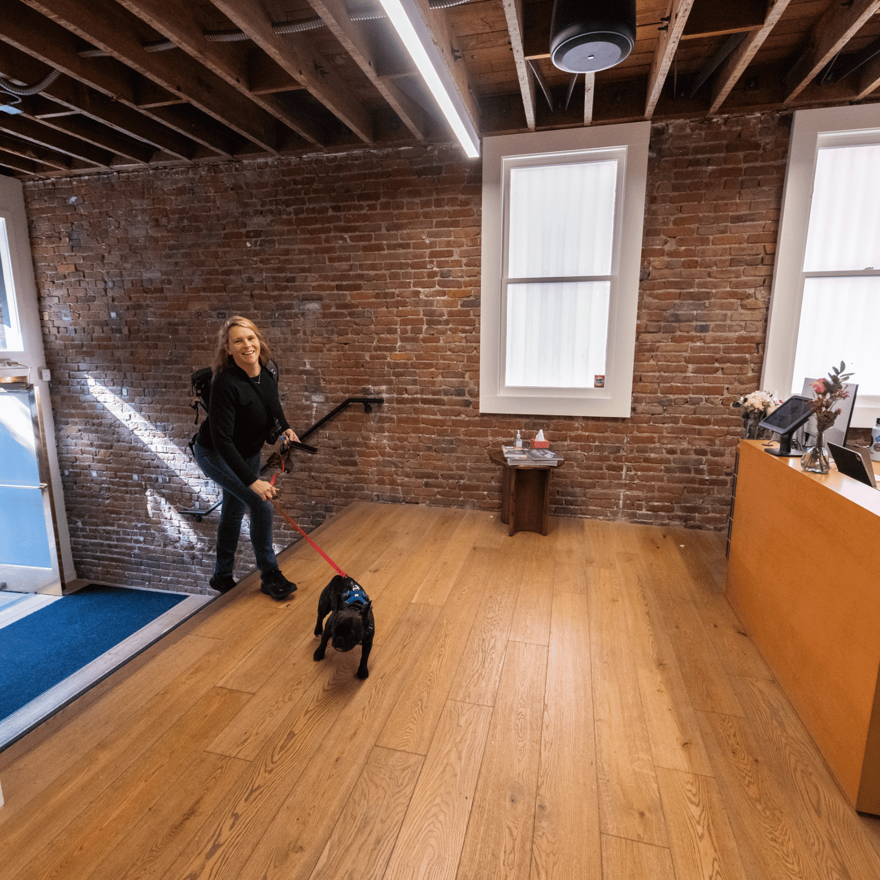 Canva lands in San Francisco: A creative hub in Silicon Valley