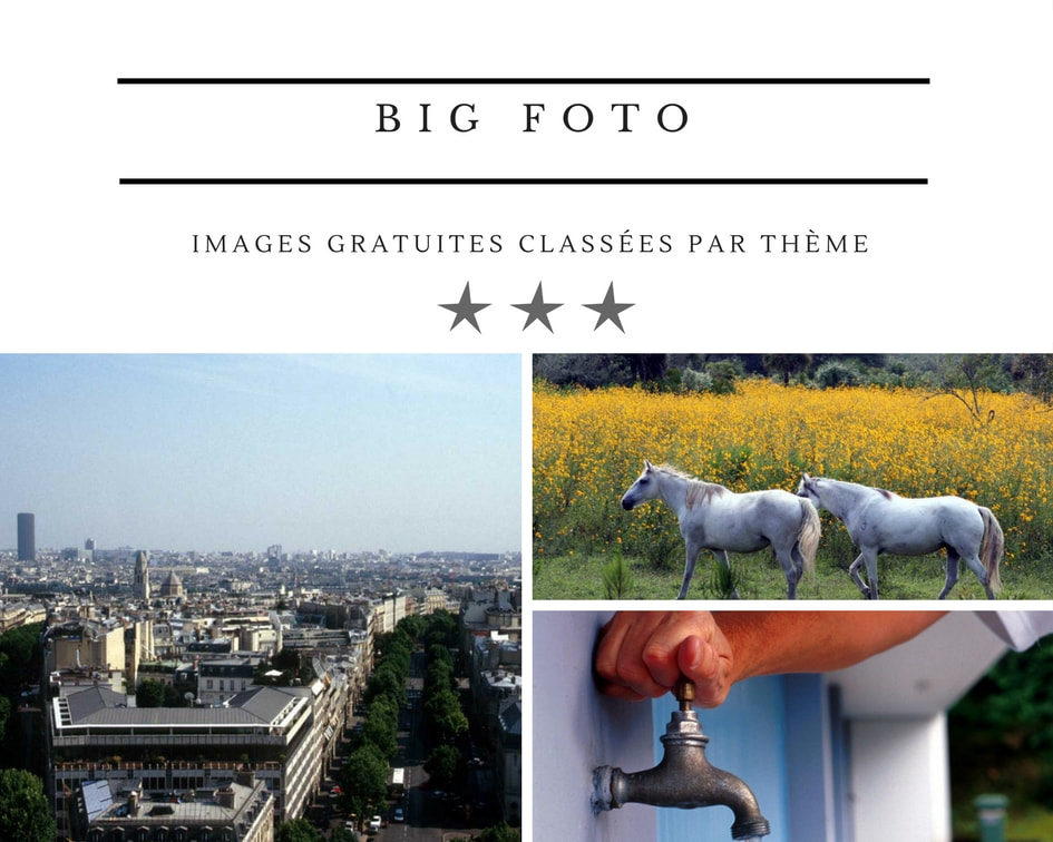 Images libres de droits : Les 50 meilleures banques d'images gratuites ...