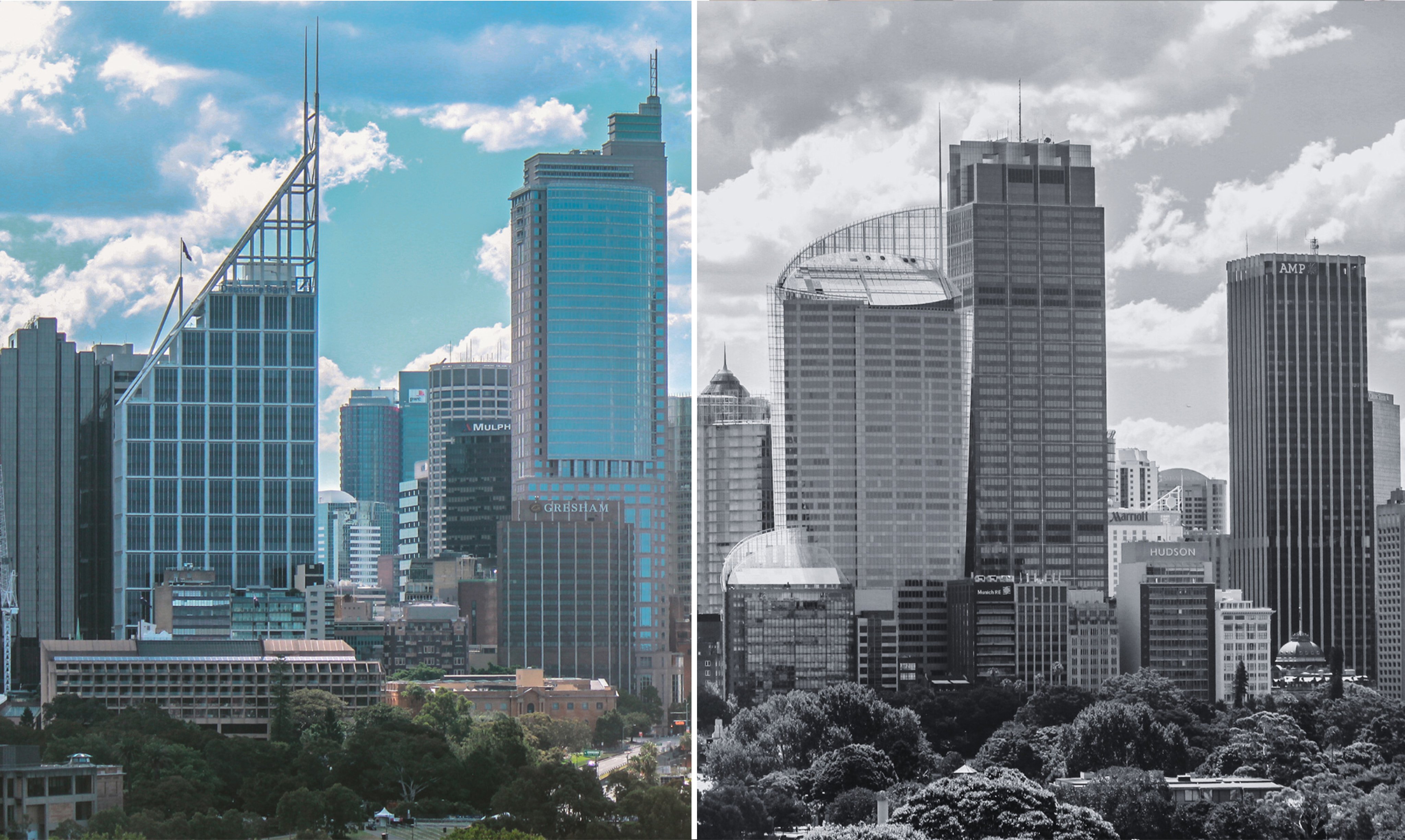 Black and White Filter for Images | Canva