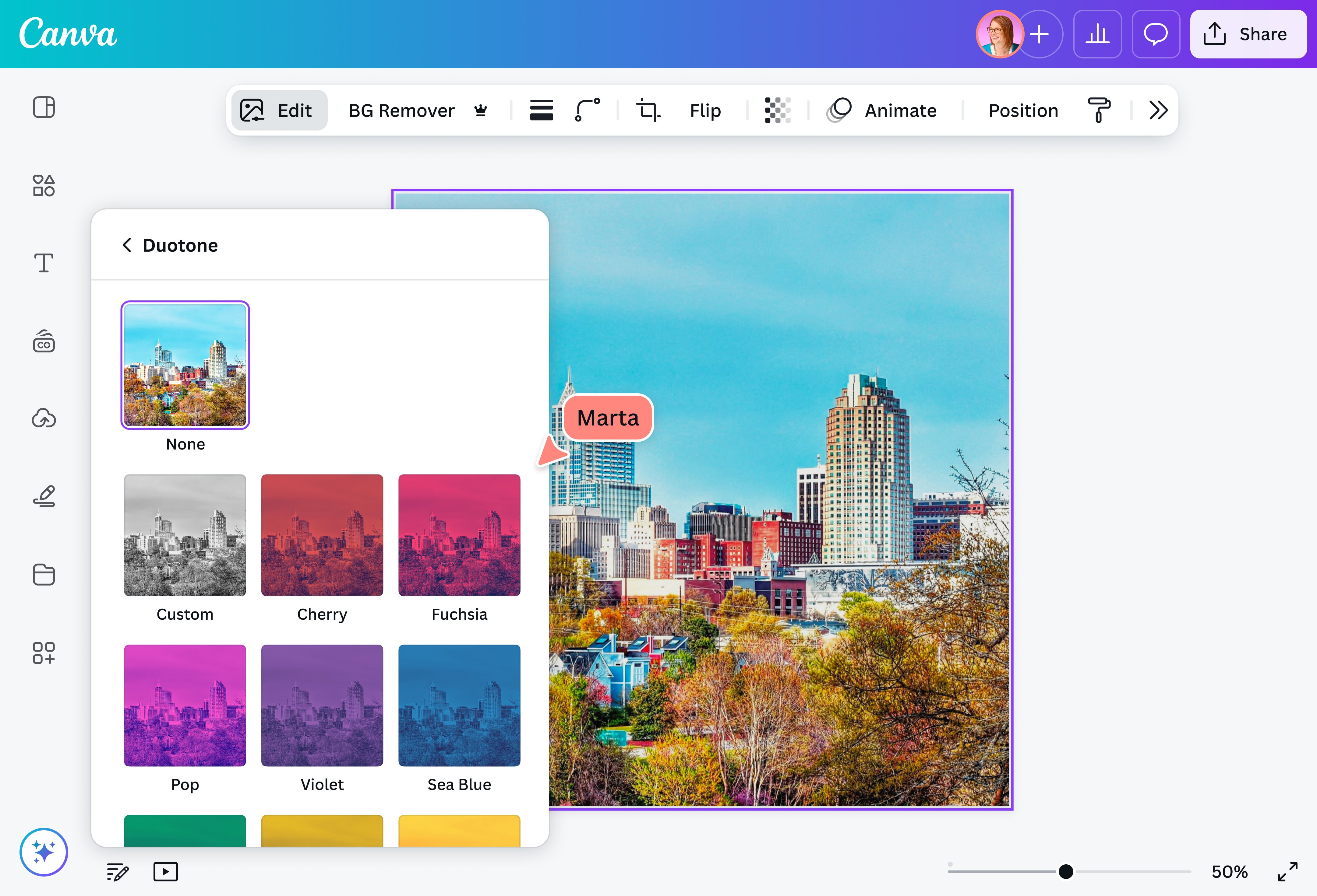 Online Photo Effects: Free Photo Filters for Images | Canva