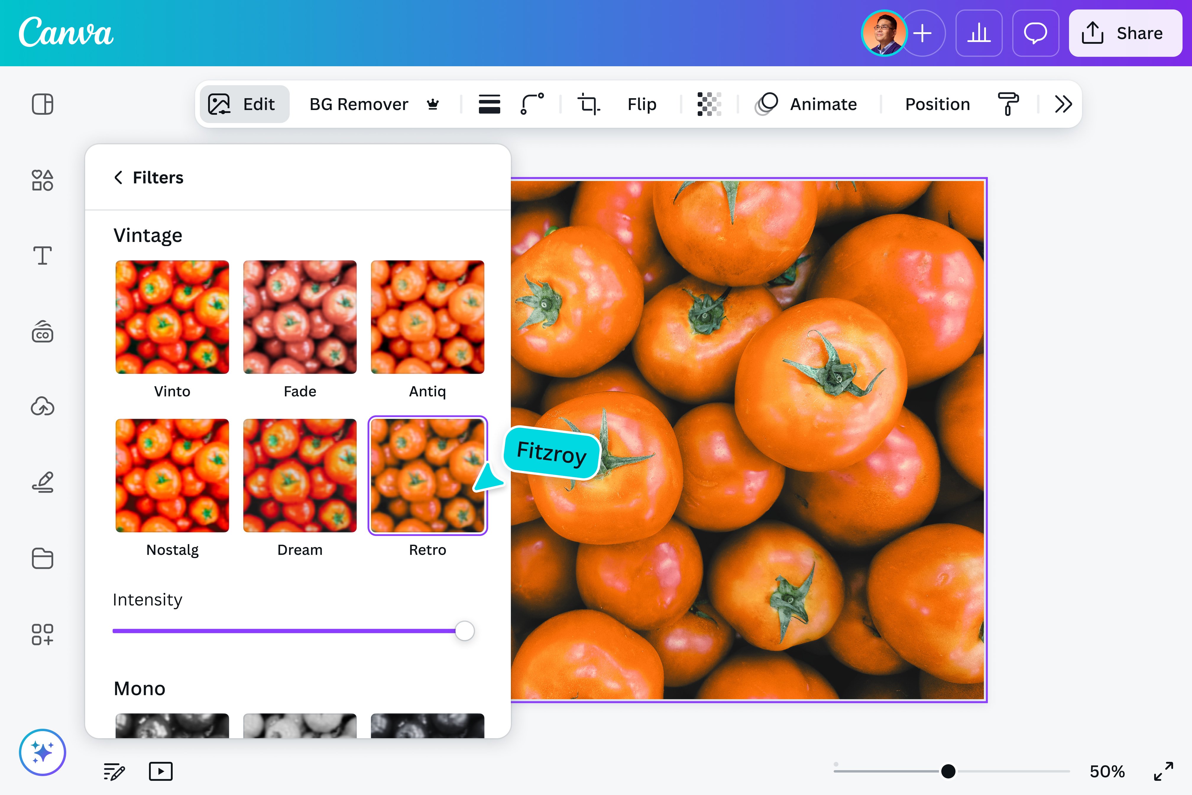 Explore Canva Features to Unlock Your Creativity