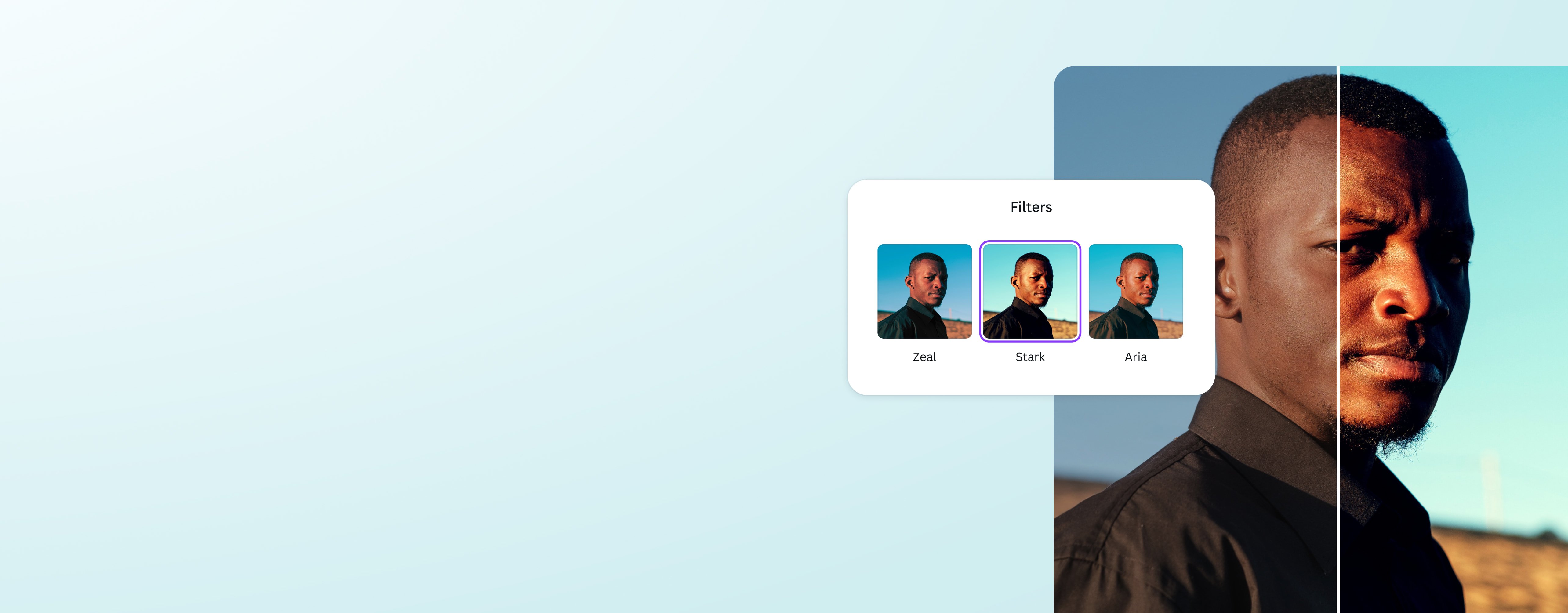 Online Photo Effects: Free Photo Filters for Images | Canva