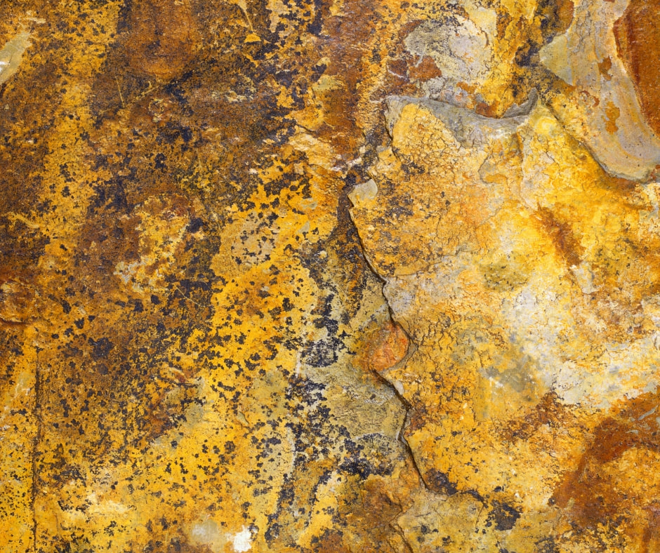 La texture dans le Design : Interview d'Hollie Gach - Canva