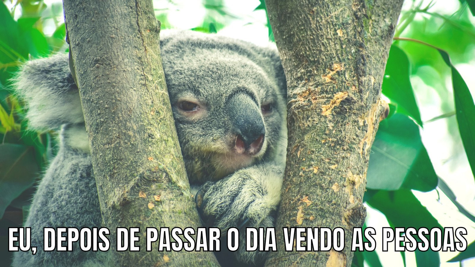Escrever Em Fotos Memes Como Criar O Meme Nut Button [2021]