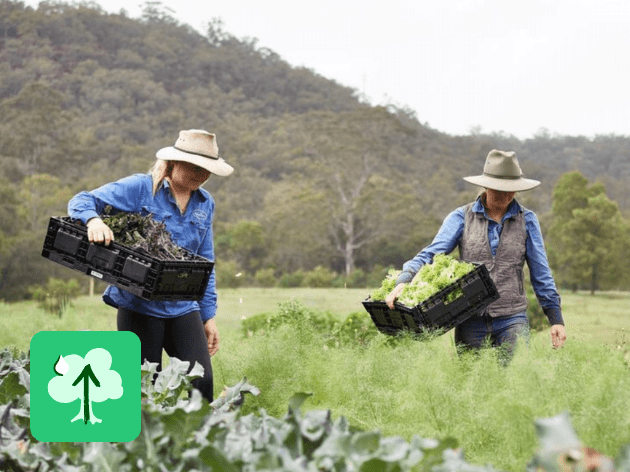 Canva's Two Step Plan