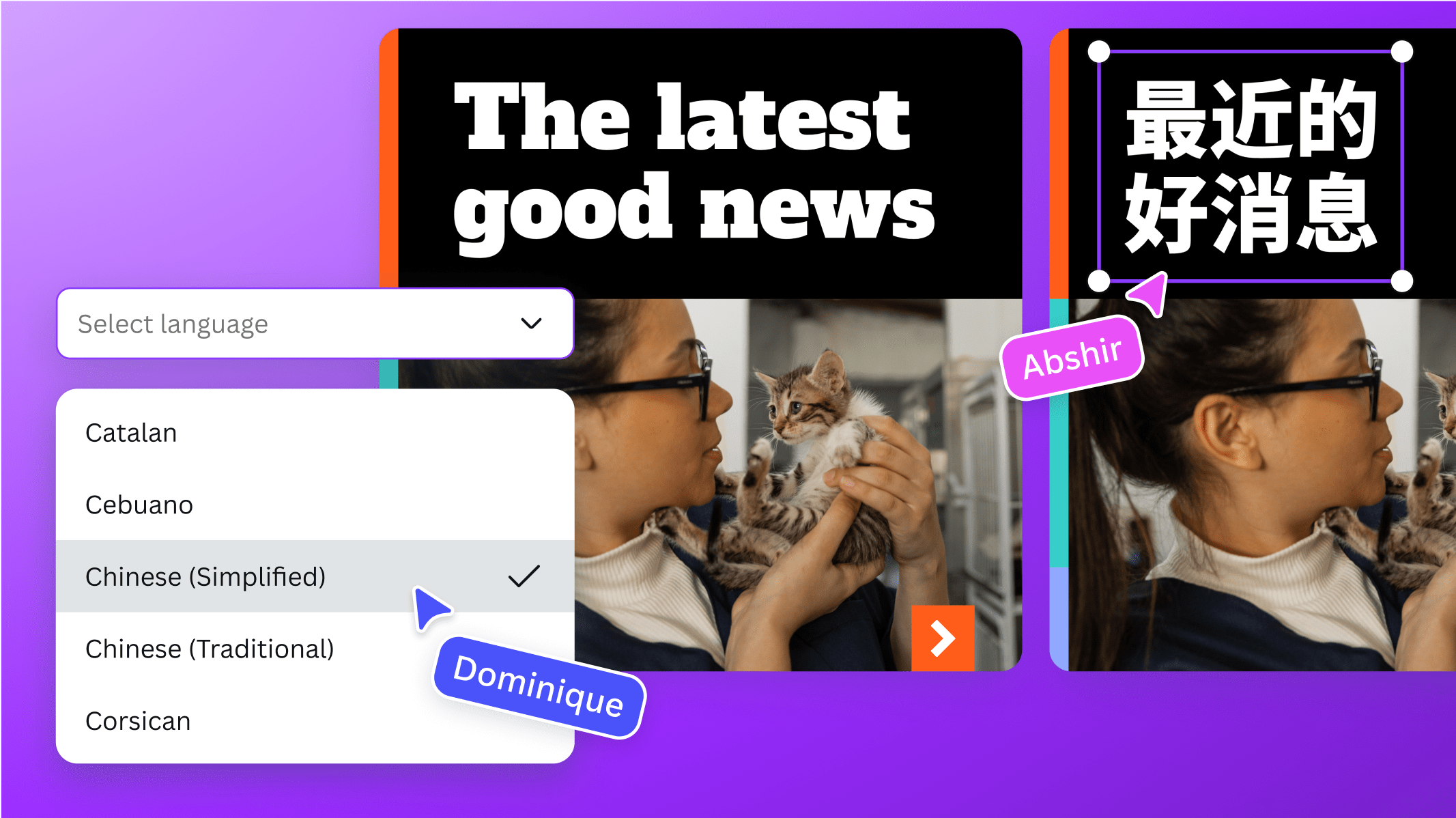 Canva for Journalism | Your all-in-one visual journalism toolkit