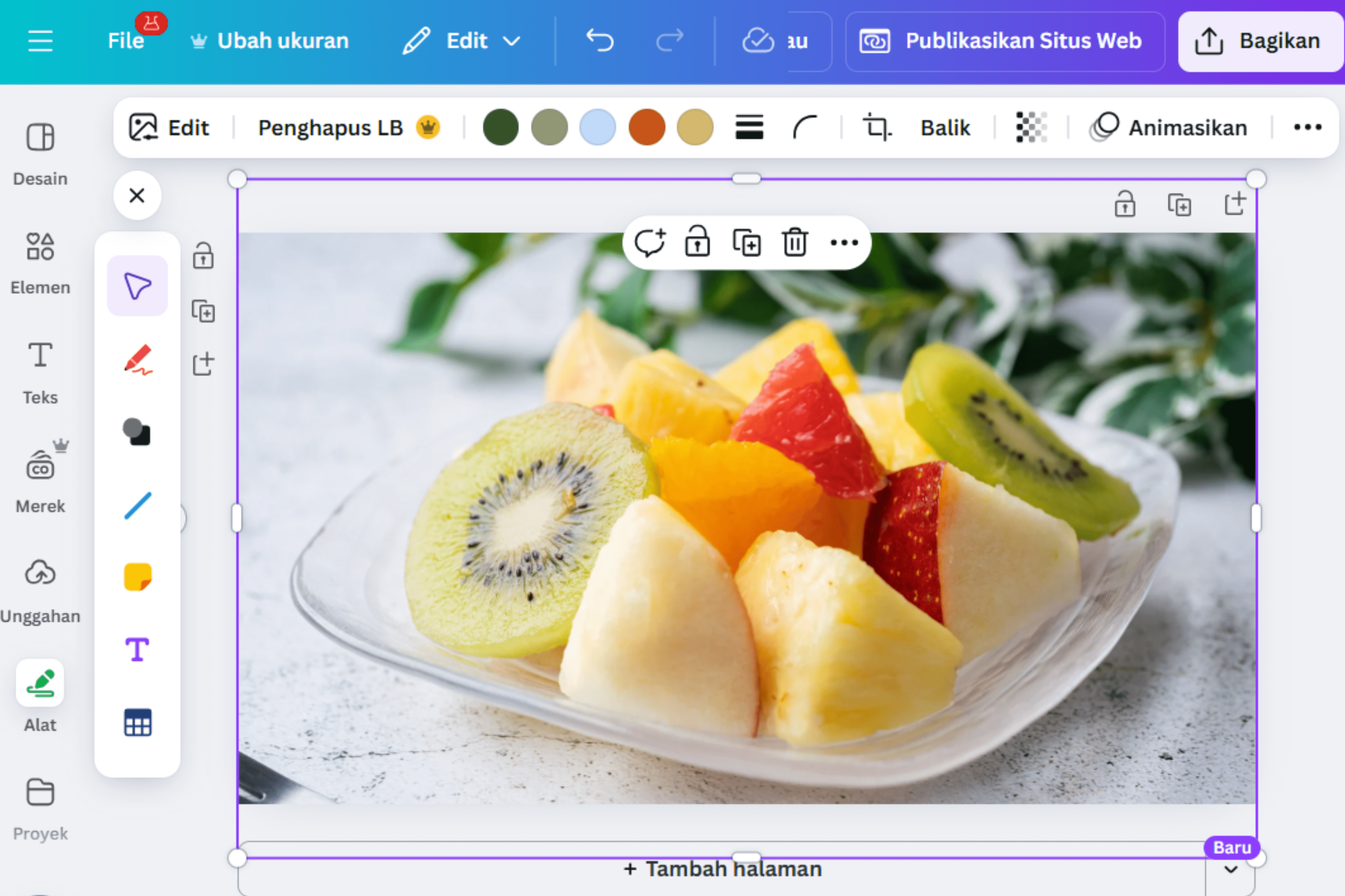Ubah Foto ke JPG dengan Mudah dan Cepat | Canva