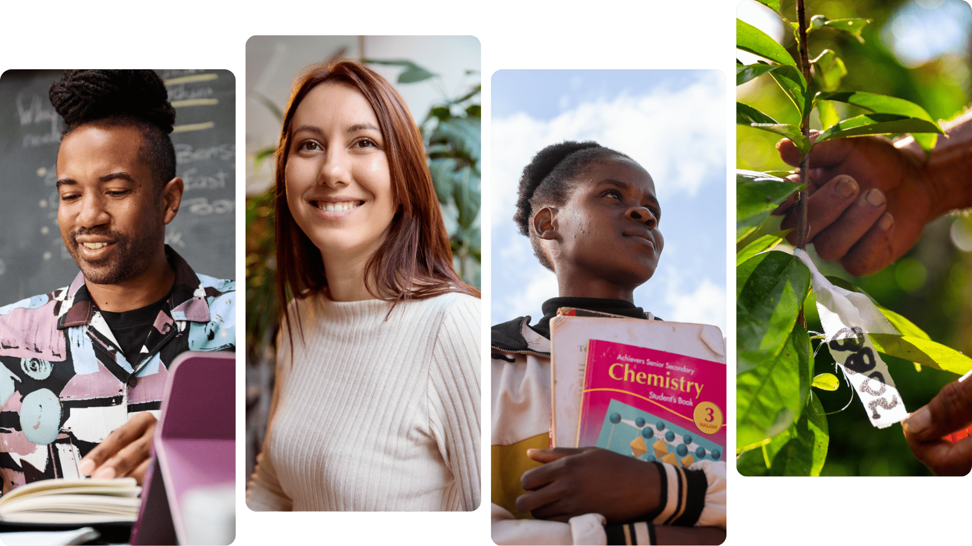 Canva's Two-Step Plan