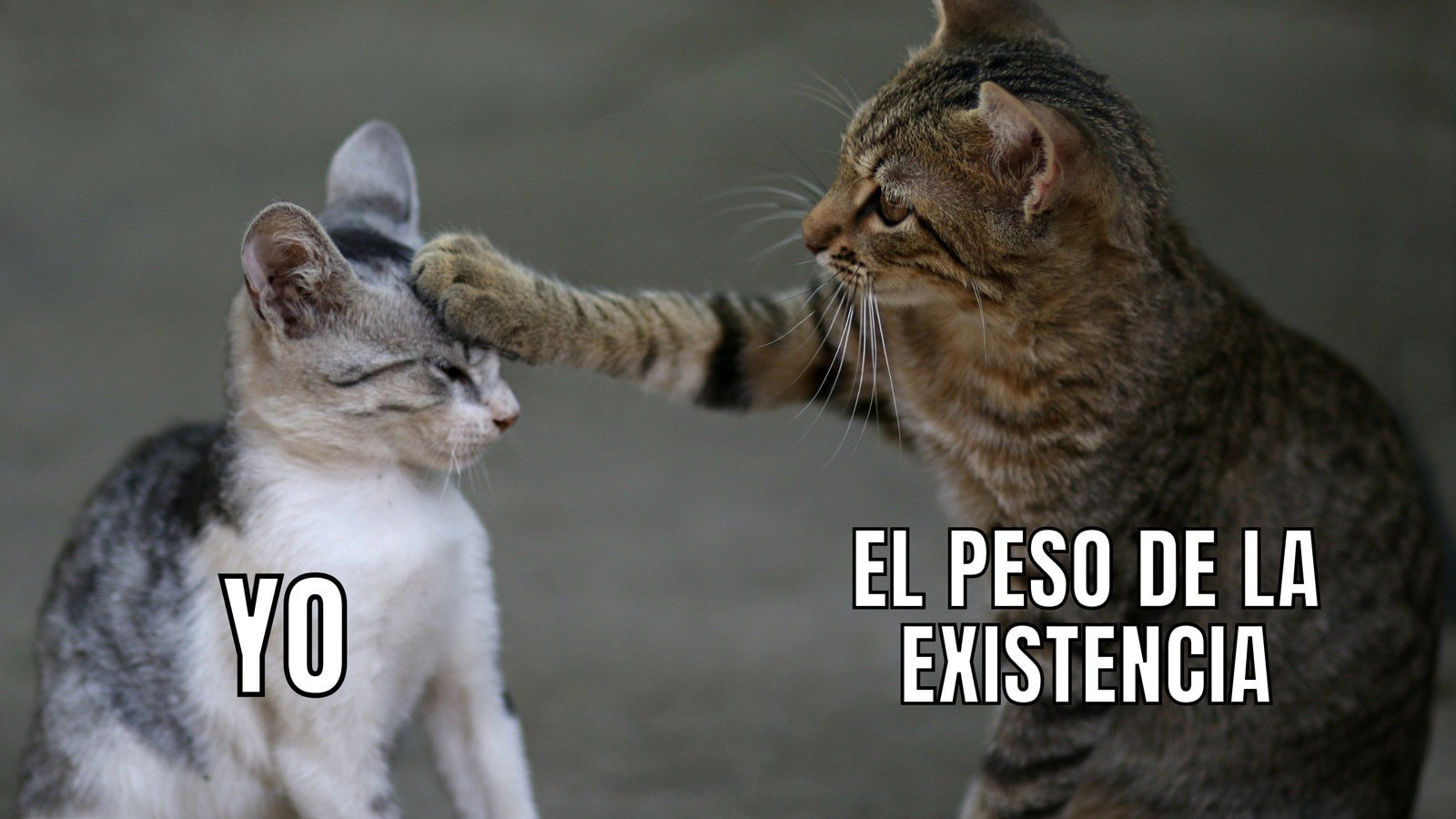 Historia De Las Expresiones De Memes