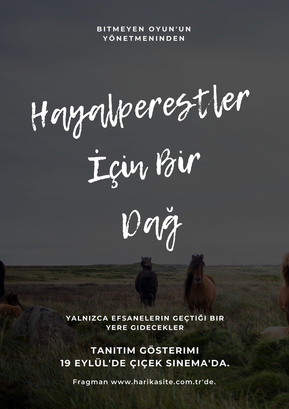 Film Afişi Yapma Aracı: Online ve Ücretsiz | Canva