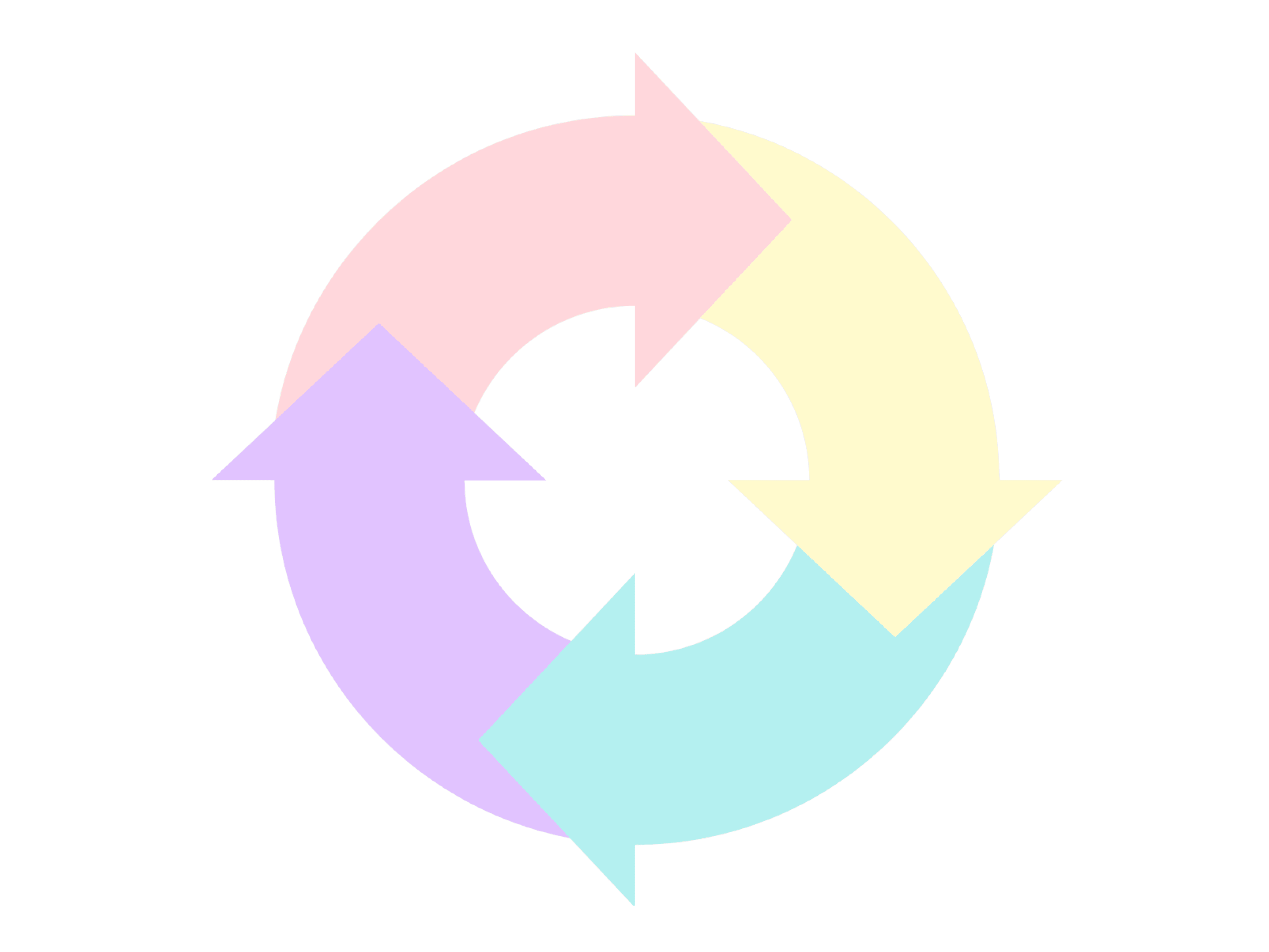 Come scrivere SOP: esempi e modelli di procedure operative | Canva