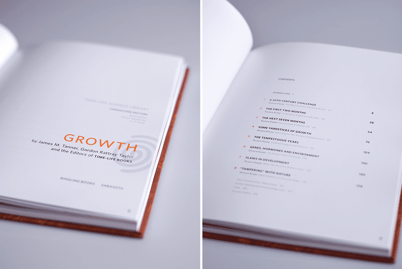 Cómo hacer un índice deslumbrante: 50 ideas para inspirarte