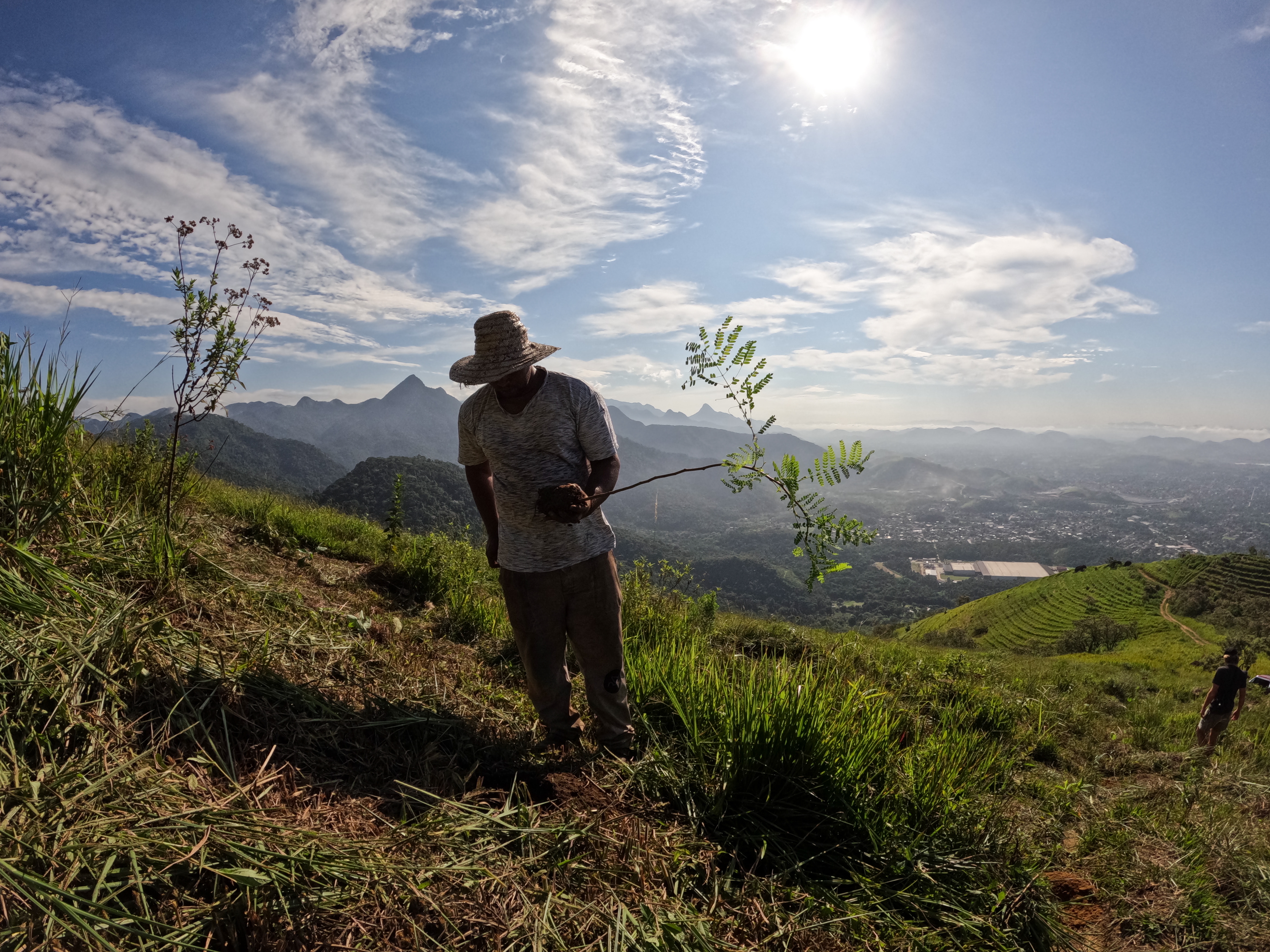 Celebrating 10 million trees planted through One Print, One Tree
