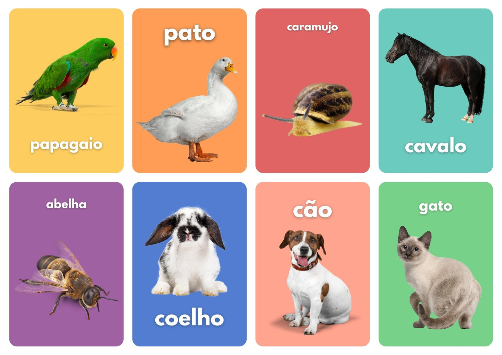 Fazer flashcards online simples, gratuito e rápido | Canva