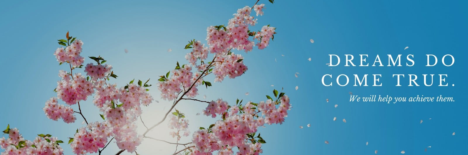 Cute Twitter Backgrounds Free