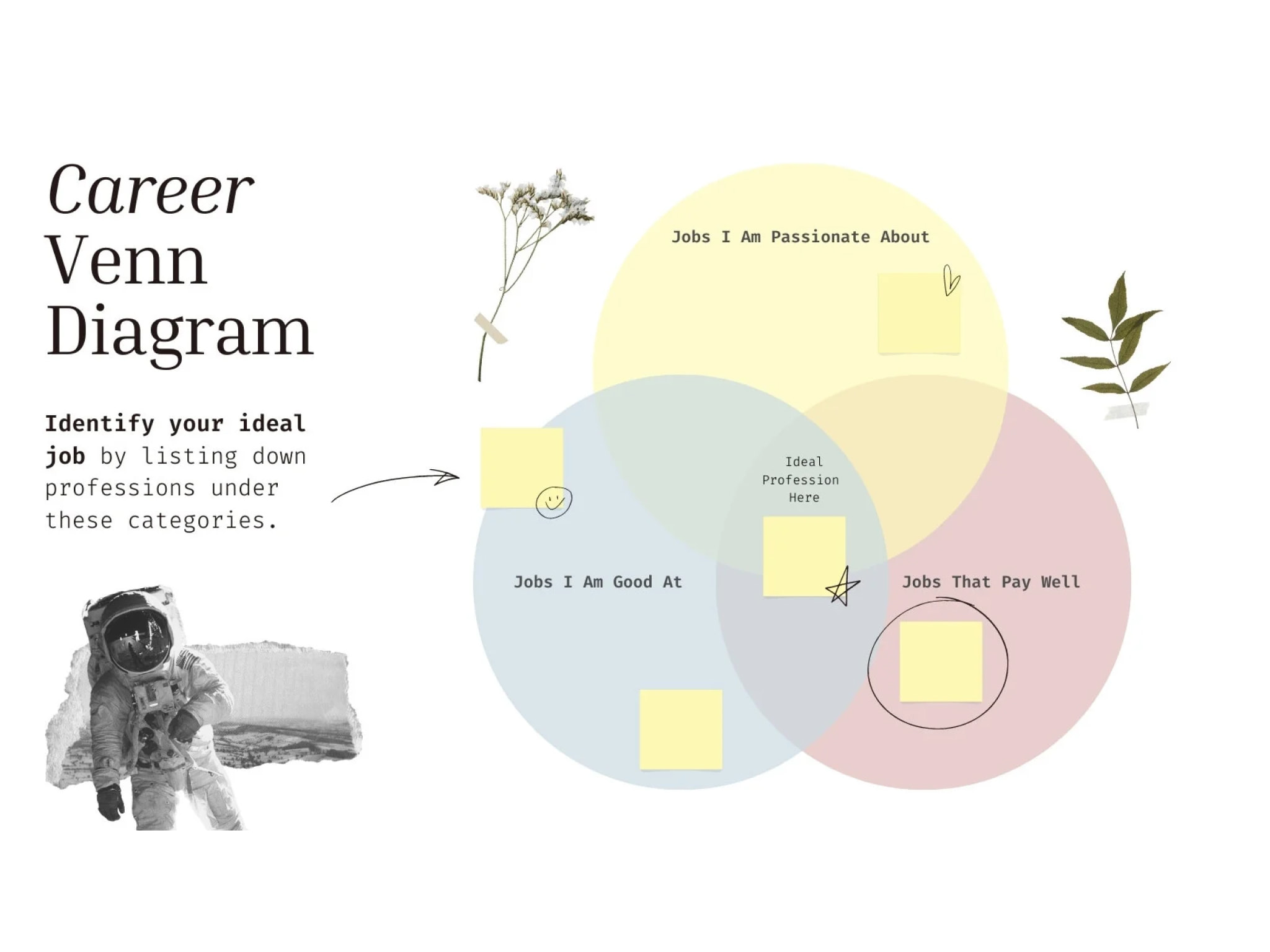 Semplici Esempi Di Diagramma Di Venn