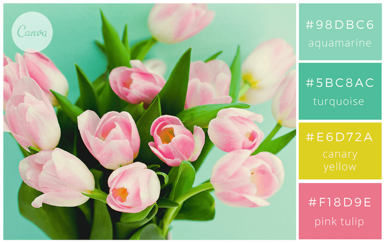 100 combinaciones de colores y cómo aplicarlas a tus diseños