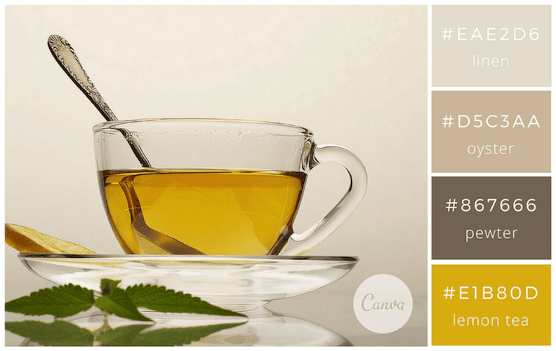 100 combinaciones de colores y cómo aplicarlas a tus diseños